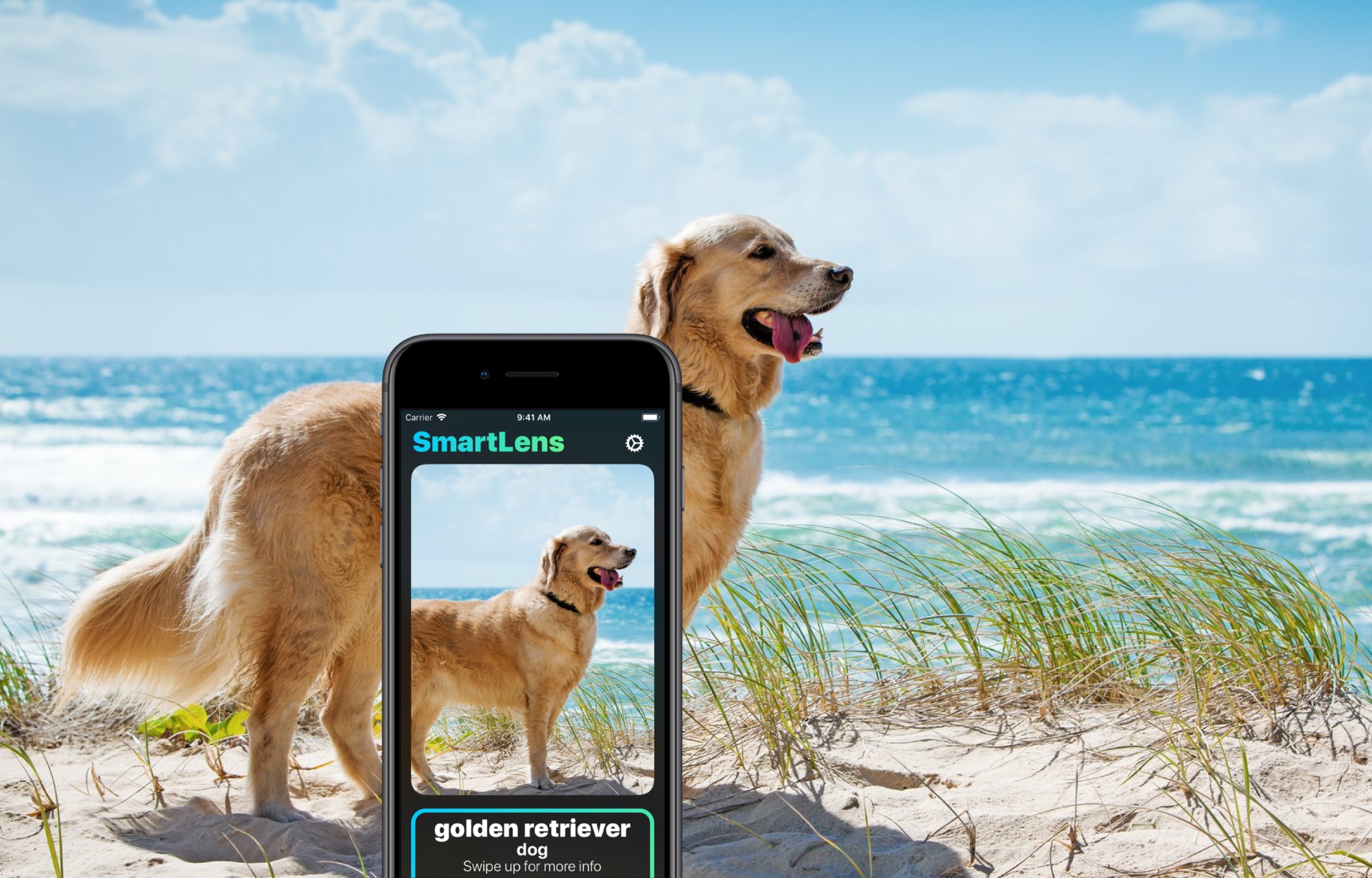Best Image Recognition Apps That You Should Try In 2025 ...